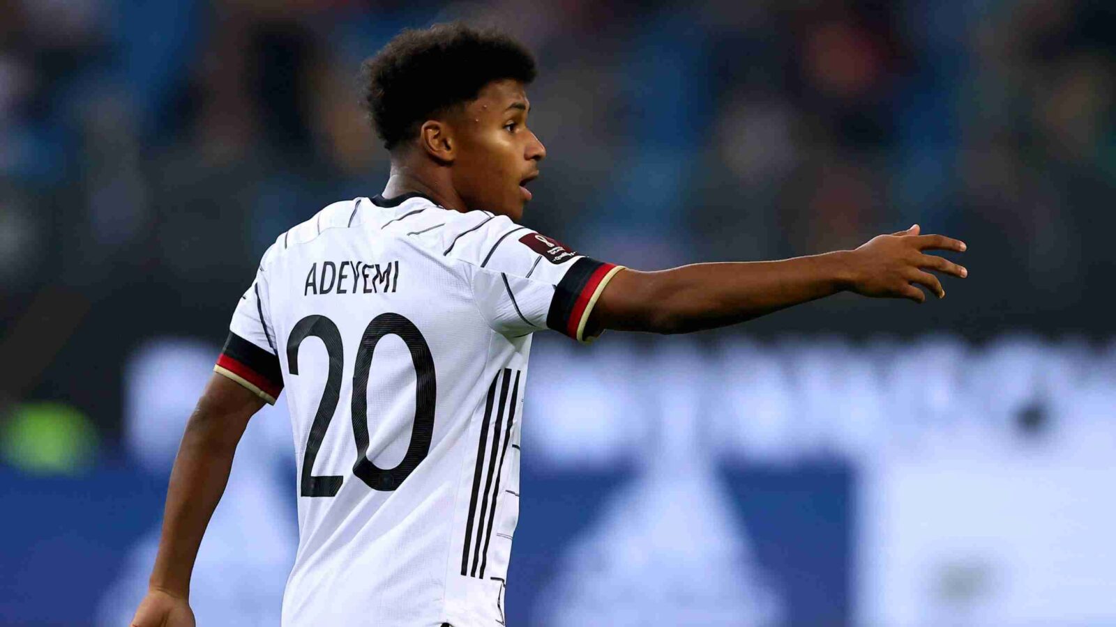 7 Players Of Nigerian Origin At The 2022 FIFA World Cup - FootballOrbit