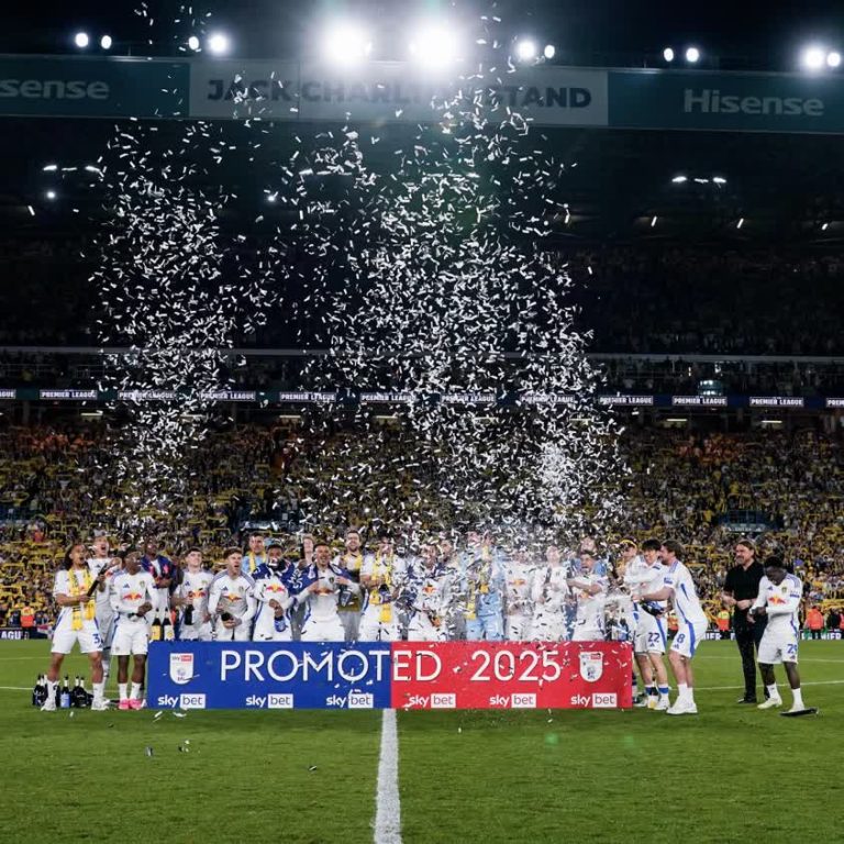 Who Are The Newly Promoted Premier League Teams For The 2025/26 Season ...